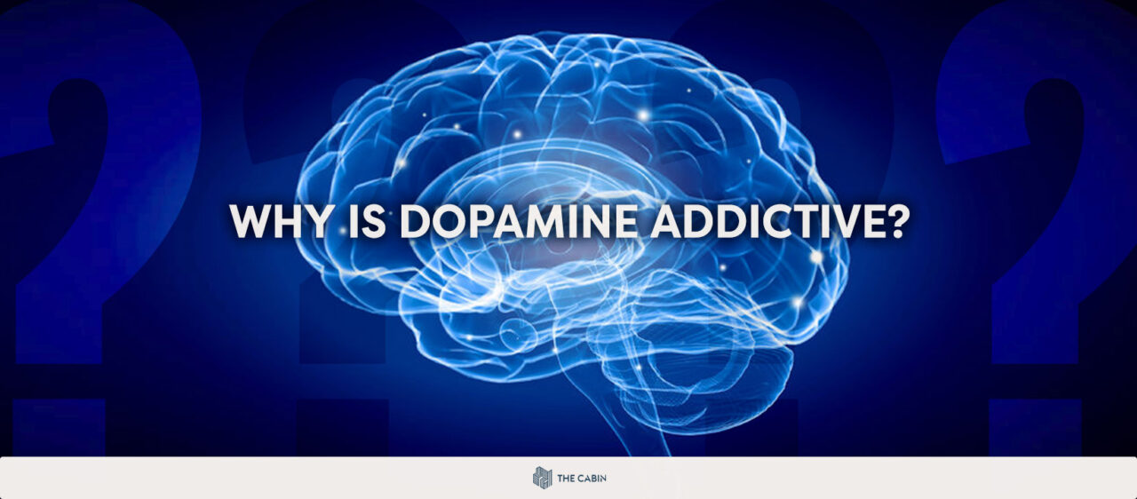 Dopamine Addiction: Symptoms, Causes, and How to Overcome It | The ...